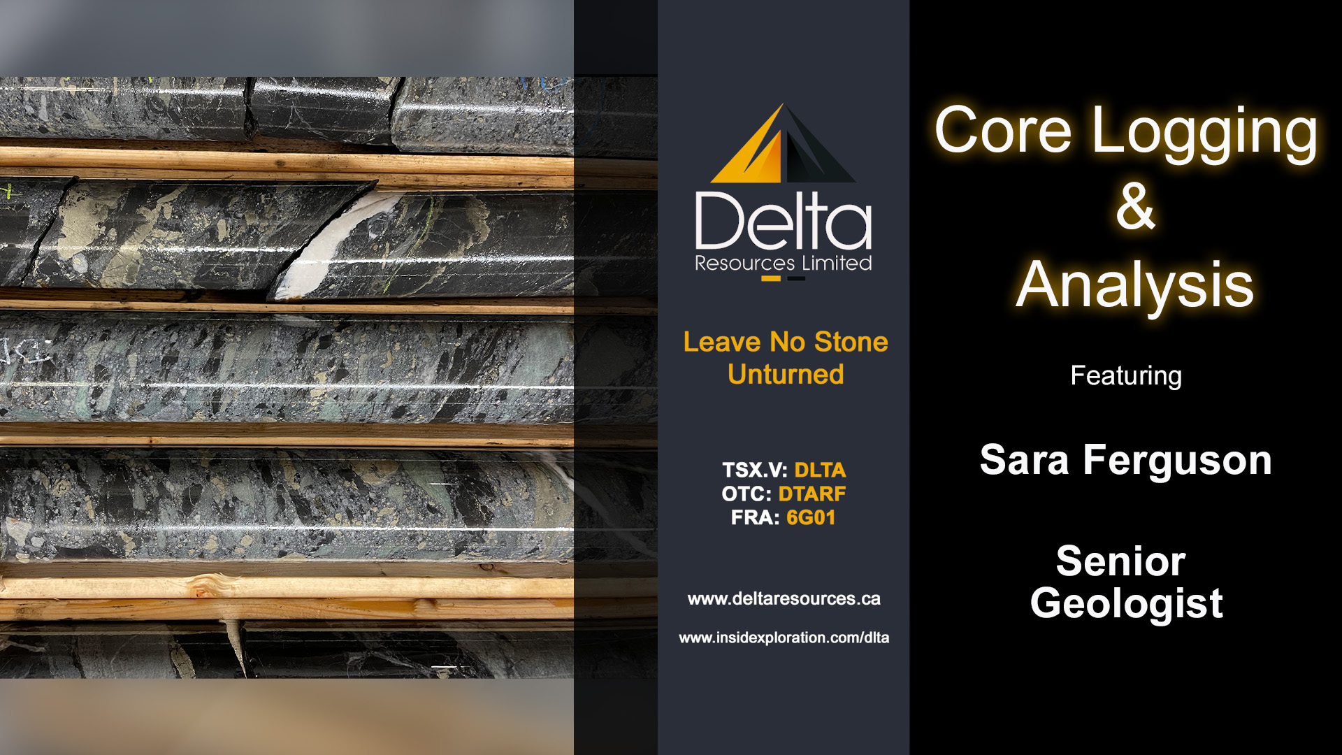 Core Logging & Analysis – Delta Resources (TSXV: DLTA) – Insidexploration